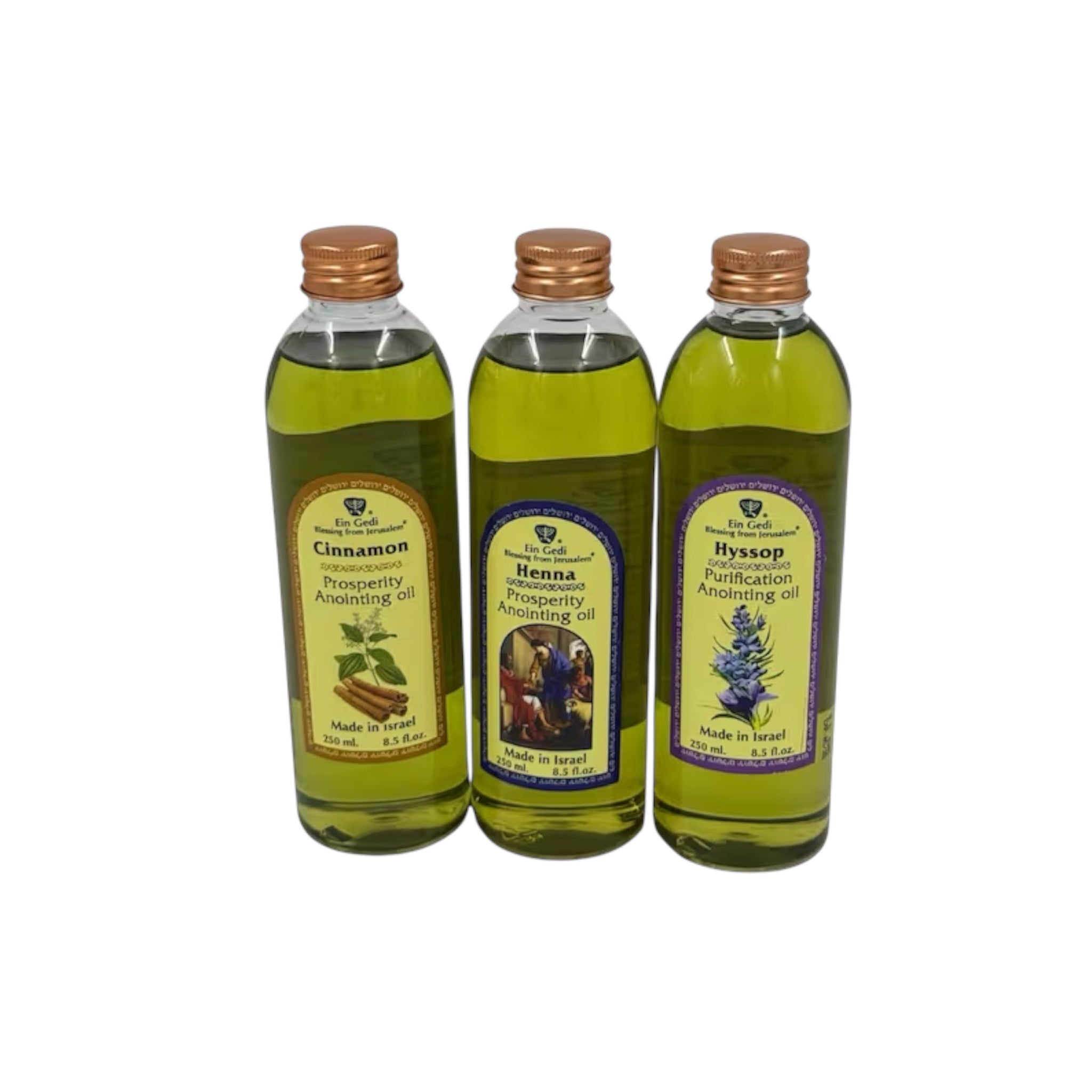 Ein Gedi Blessing from Jerusalem Anointing Oils - 3 Bottle Set (250ml ...